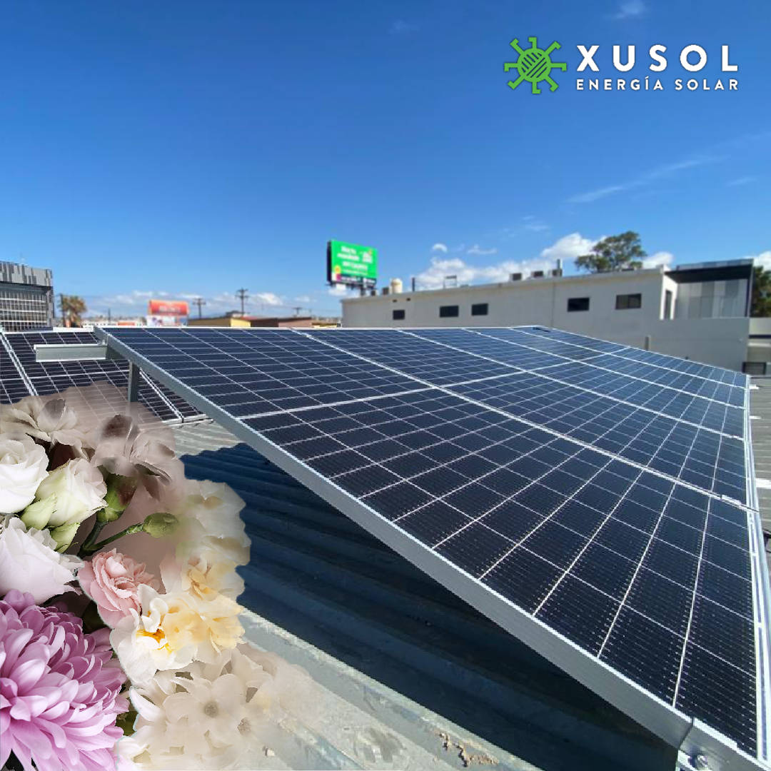 Sistema de 10 Paneles Solares para Florería YEE homify