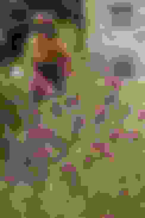 10 plantes qui attireront richesse et prospérité chez vous