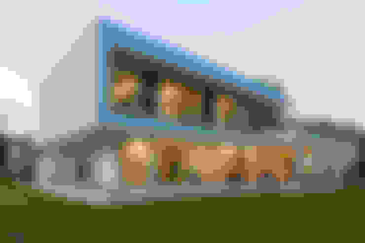 Plinth protection: the building feature you need to know about