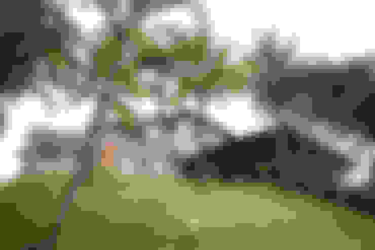 Tropical Living in Brazil