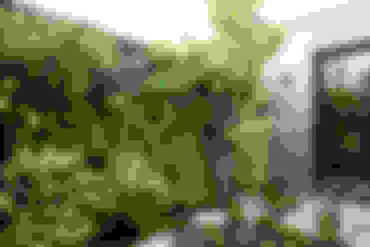 10 plantes qui attireront richesse et prospérité chez vous