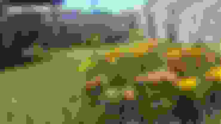 Bunga Krisan: Manfaat, Cara Menanam dan Perawatannya