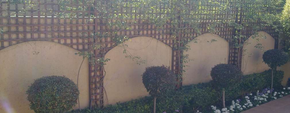 Fantastiese heining idees vir Suid-Afrikaanse tuine