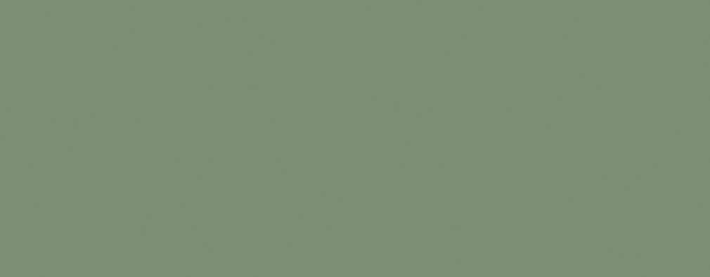 Color Verde Salvia: Suggerimenti e Idee da Copiare