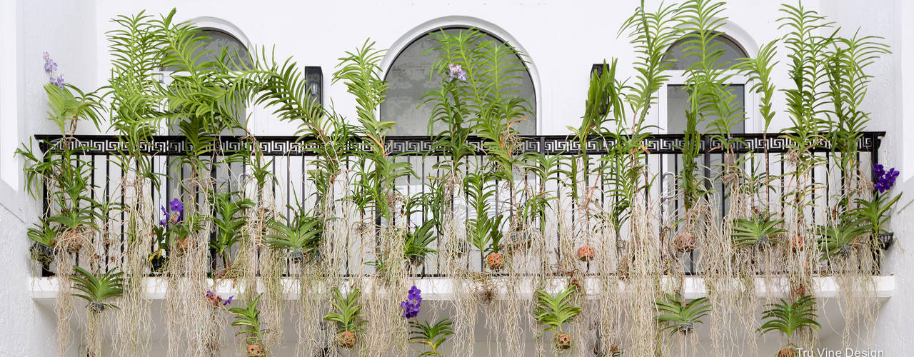 Biophilic Design: Bringing Nature Indoors for Health and Well-Being ...