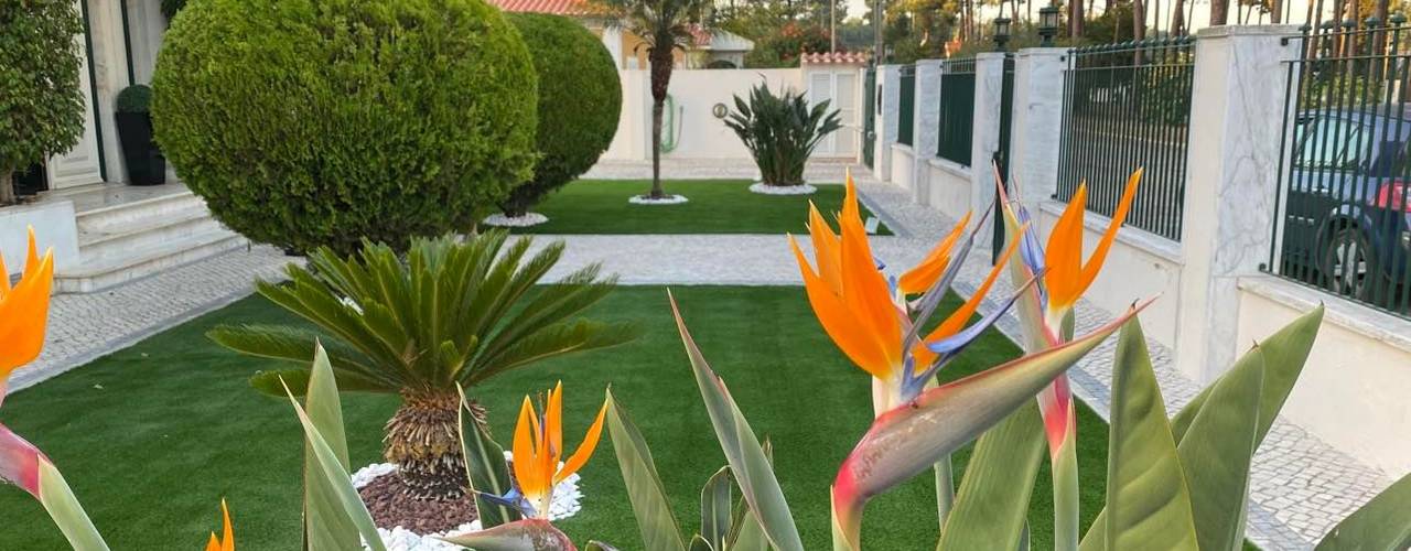 12 Imagens de Projecto de Execução de Jardim com Relva Sintética ...