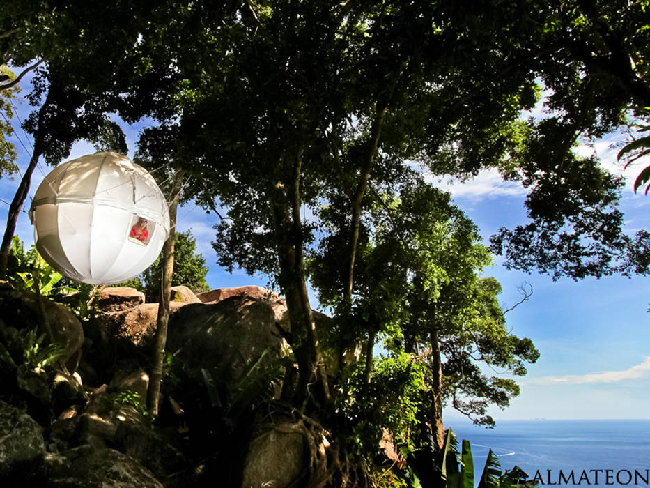 Cocoon tree bed 2 personnes, installé en forêt, suspendu à deux arbres ...