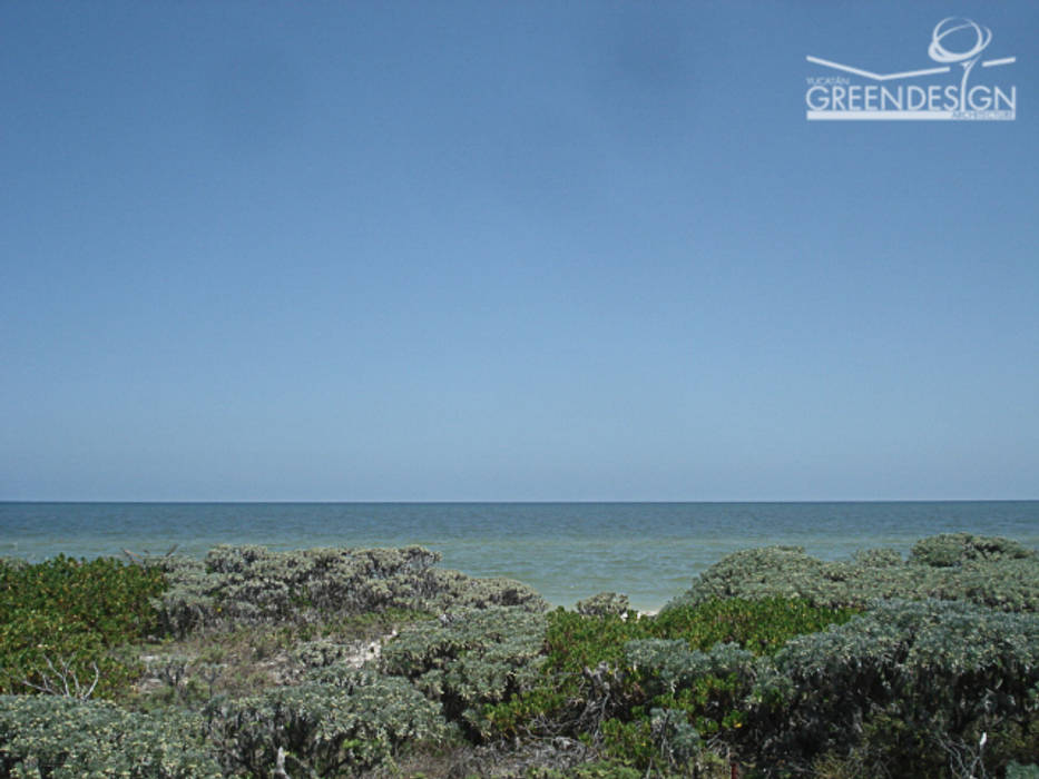 Duna costera | homify