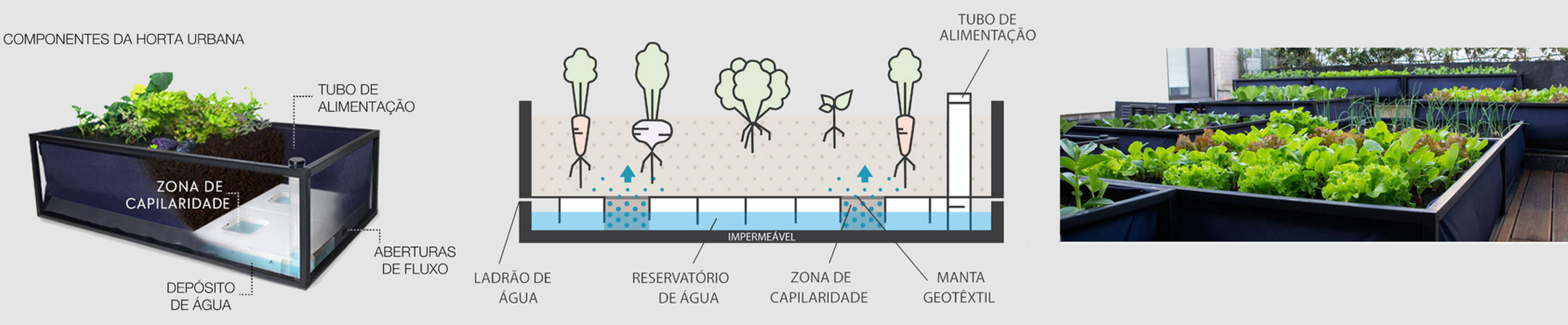 Sistema de hortas urbanas noocity: | homify