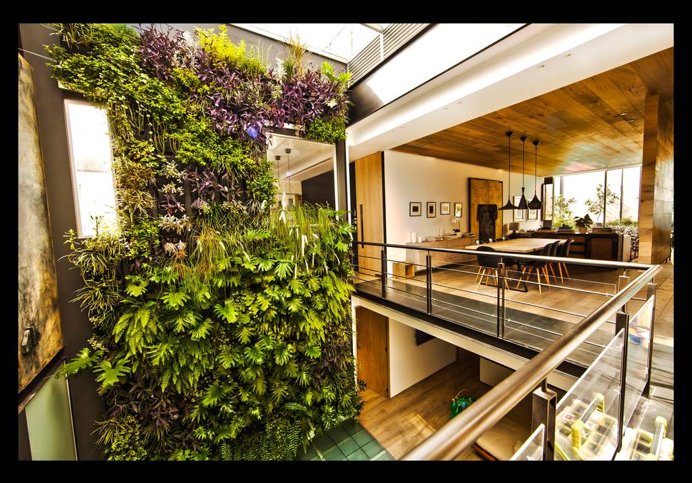 Muro verde parque méxico, regenera mx - fábrica ecológica | homify