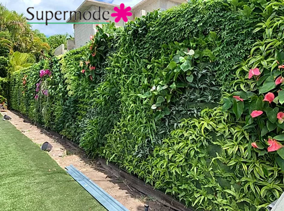Live wall green wall & vertical gardens | homify