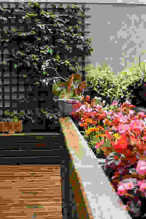 15 segredos para deixar seu quintal mais bonito | homify