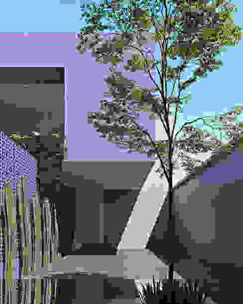 Más de 13 Tonos de Color Morado para una Decoración Perfecta, Elegante ...