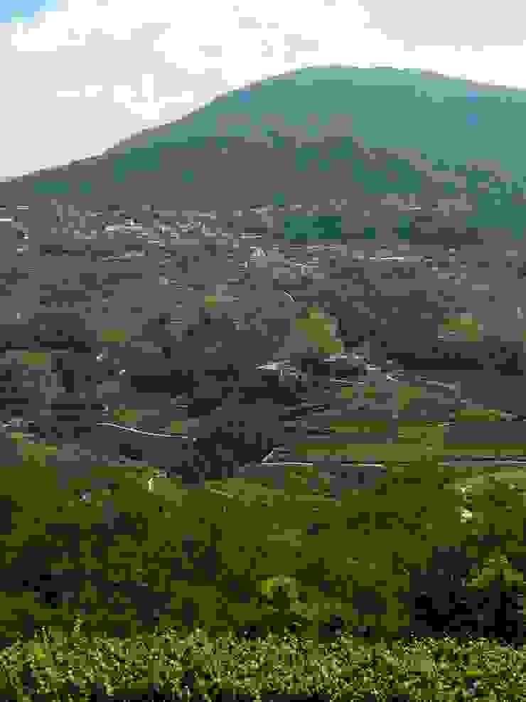 Recupero e riuso del Castello di Segonzano (con JTdF architettura) | homify