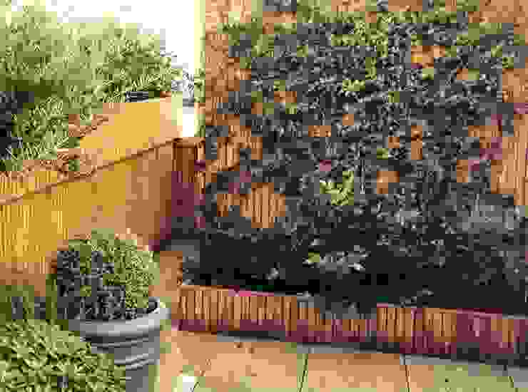 16 Fabulous miniature garden ideas to inspire you | homify | homify