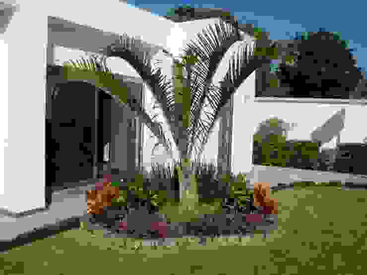 15 jardines sencillos y bonitos que puedes hacer inmediatamente