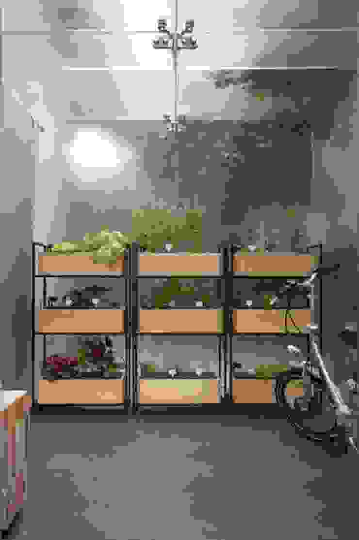 7 dicas para quem quer começar uma horta em casa | homify
