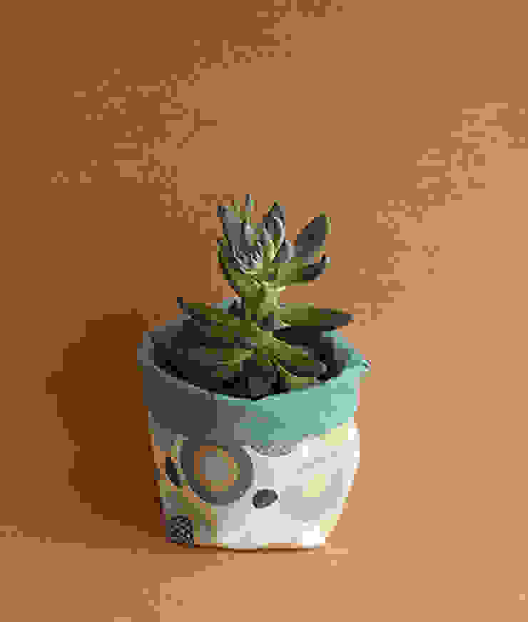 Plantas de sombra para exterior e interior - ¿Cuál elegir? | homify