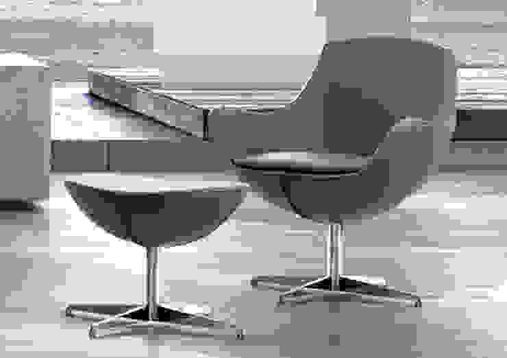 Rosetta - Grassoler | homify