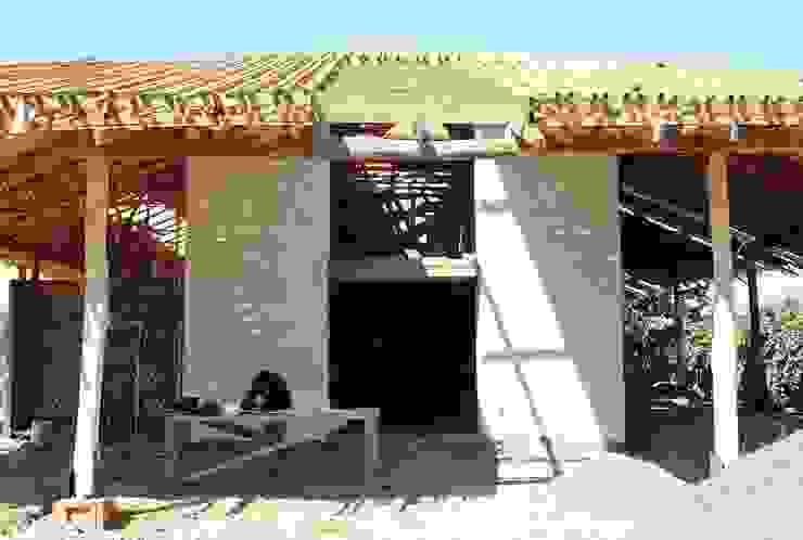 Teja chilena: conoce las variedades más buscadas | homify | homify