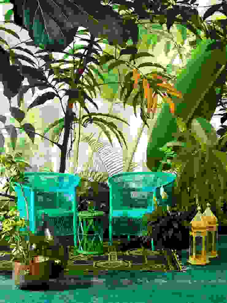 URBAN JUNGLE STYLE | homify