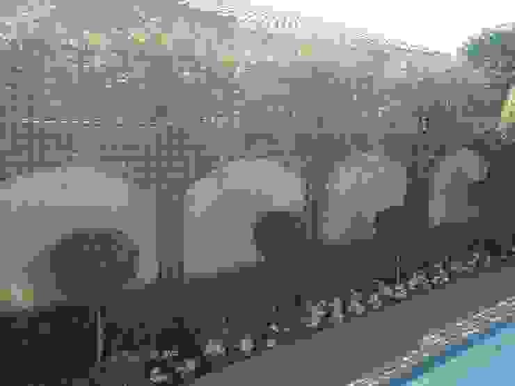 Fantastiese heining idees vir Suid-Afrikaanse tuine | homify