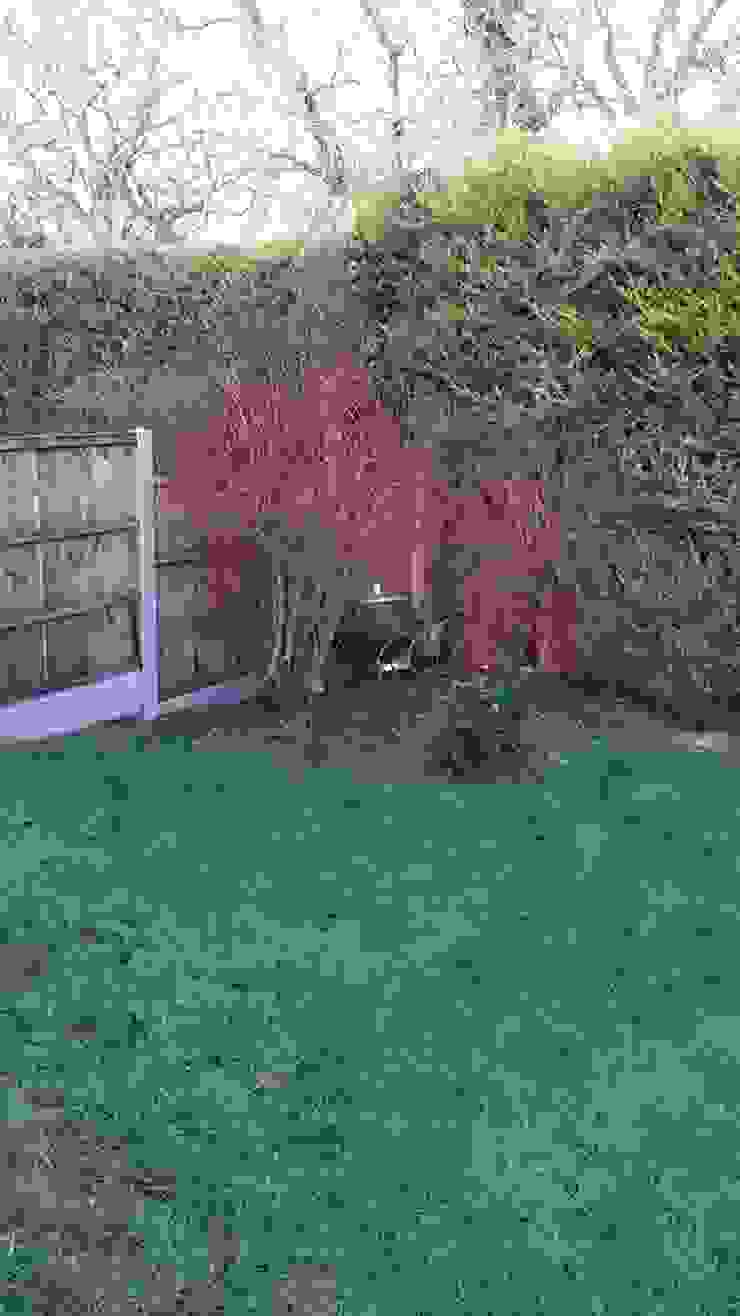 Contemporary Terraced 'Black & White' Garden | homify