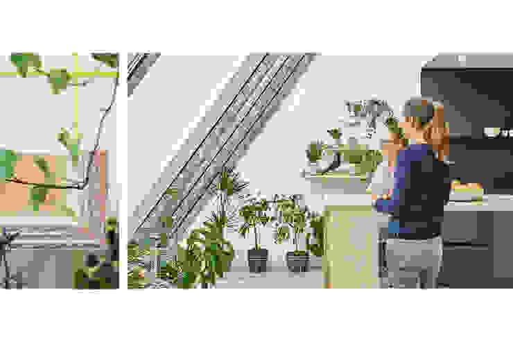 WFP Office München von INpuls interior design & architecture | homify