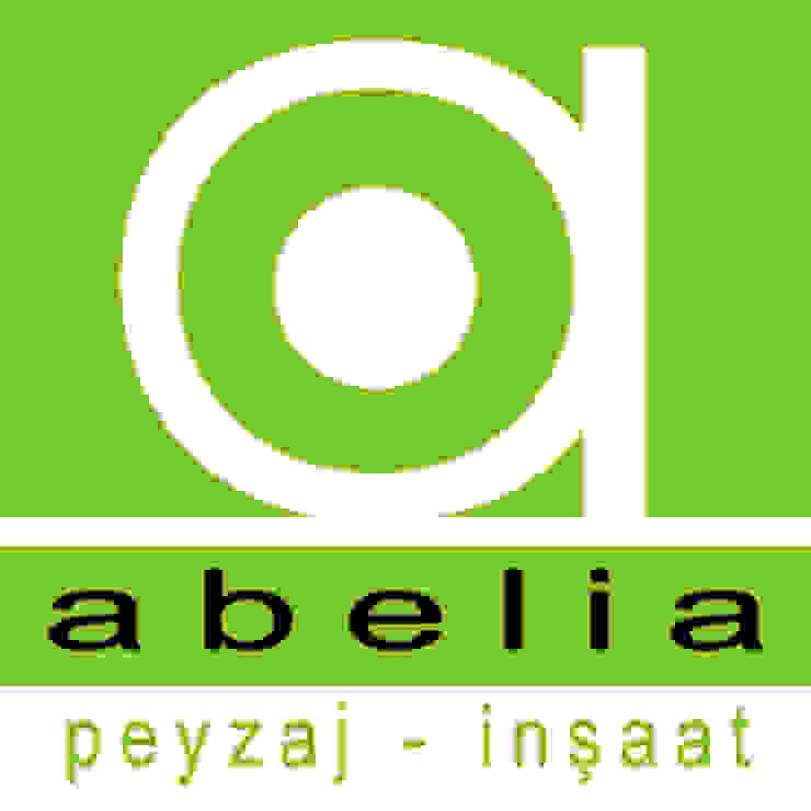 abelia 2016 | homify