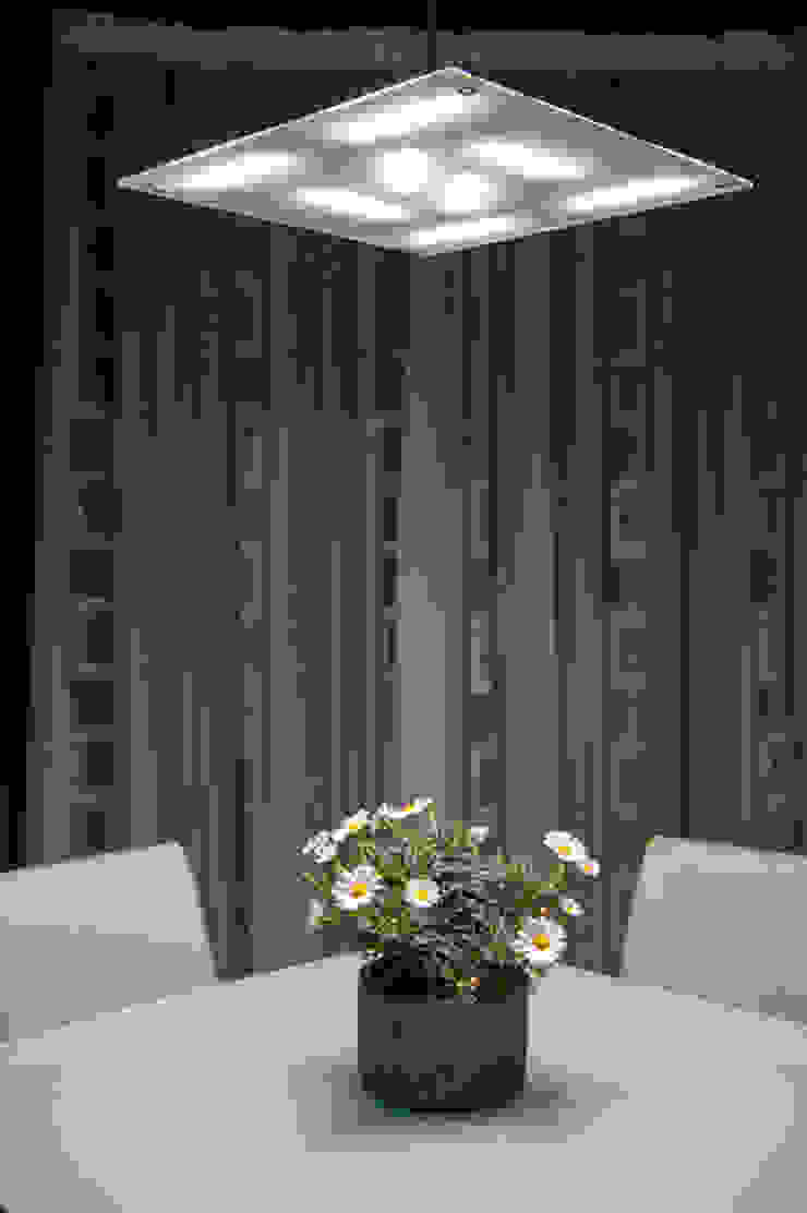 Spectacular pendulum lighting styles to tempt you! | homify