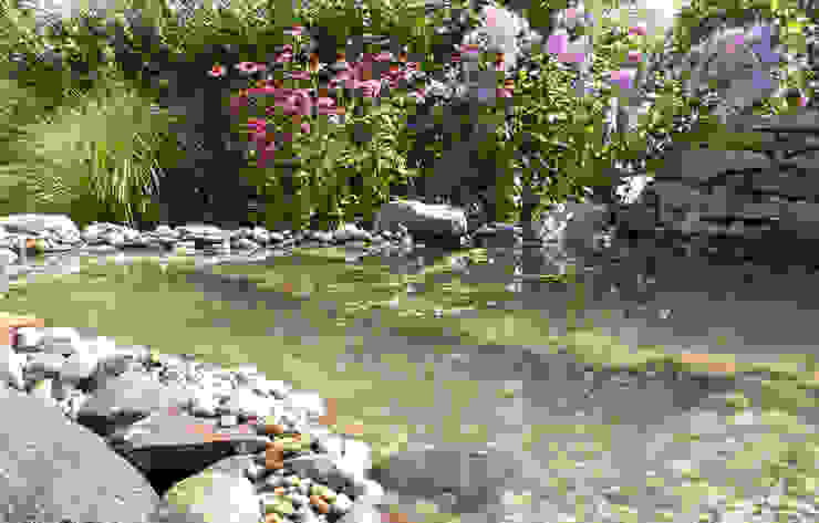 Tipps, einen schönen Gartenteich anzulegen | homify