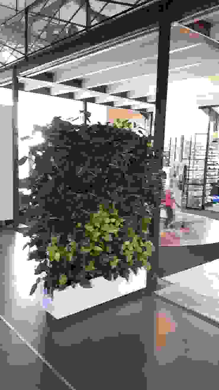 Roomdivider in huis: geweldige ideeën en inspiratie | homify