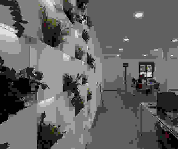 Oficina decorada con revestimiento de pared en madera | homify