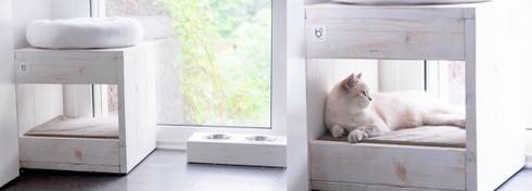 Wohnung im Clean-Chic: passendes Katzenbett und Katzennapf von DIE ...