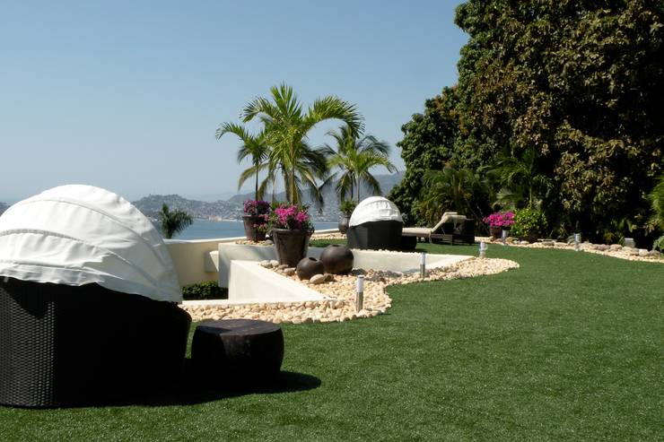 Tipos de pasto y cómo cuidarlo para que se vea bonito