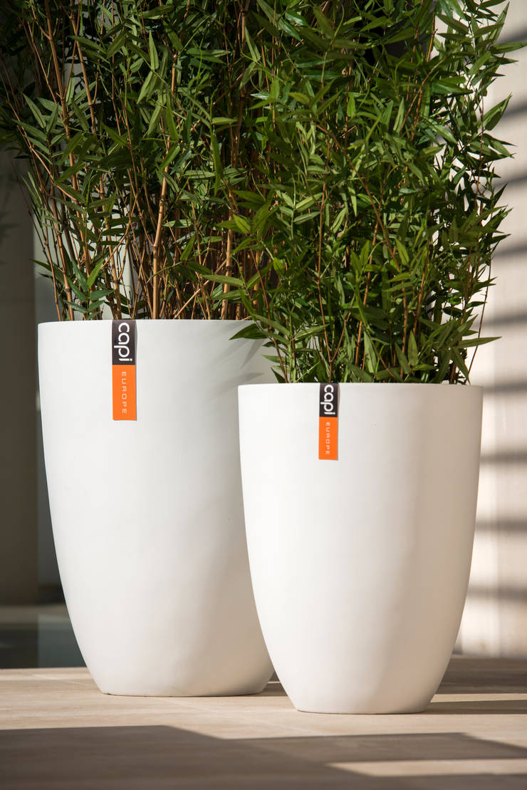 Capi Lux, modern - minimaal - bewust door Capi Europe | homify