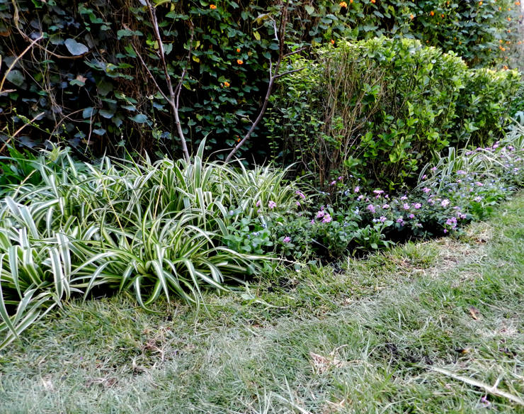 Proyecto PROTASIO TAGLE de Paisaje Radical | homify