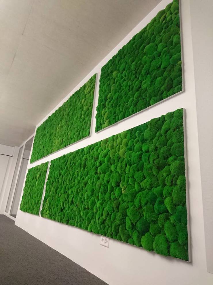 Mur végétal stabilisé. Mousse boule par VÉGÉTAL TENDANCE | homify