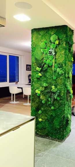 30 Formas de decorar tus ambientes con plantas para interiores