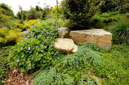 Zo leg je een rotstuin aan in acht simpele stappen