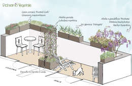 14 ejemplos de terrazas en la azotea para que te inspires a tener la tuya