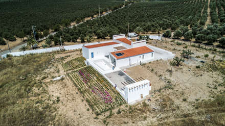 Atap: Ide desain, inspirasi & gambar | homify