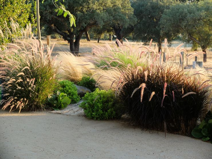 Jardim em meio rural | homify