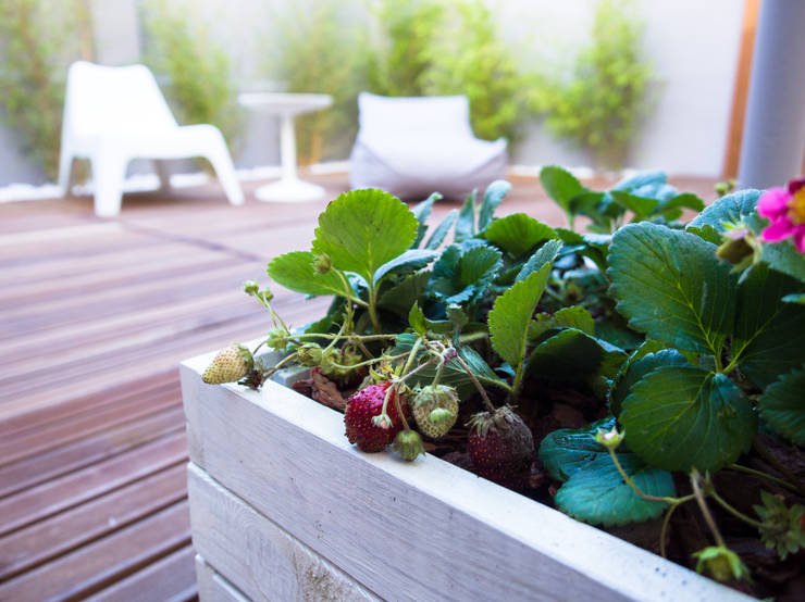 12 ideias para o jardim da sua casa
