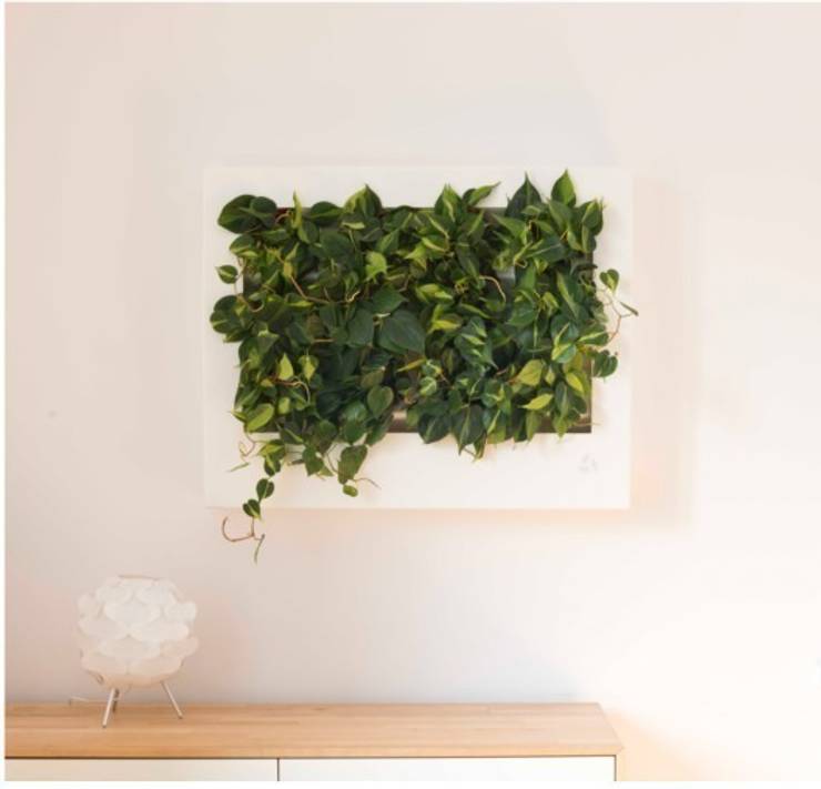 Florama - żywy obraz z roślinnością, profesjonalista: FLORABO2 | homify