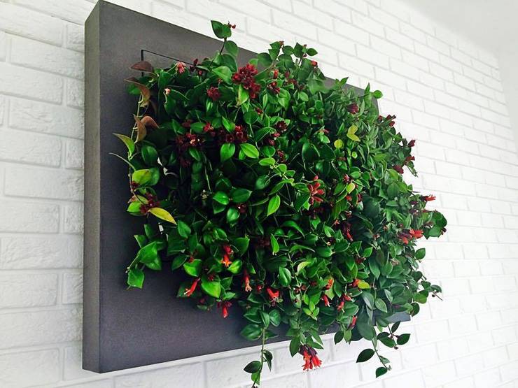 Florama - żywy obraz z roślinnością, profesjonalista: FLORABO2 | homify