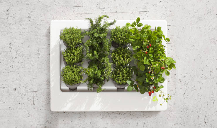 Florama - żywy obraz z roślinnością, profesjonalista: FLORABO2 | homify