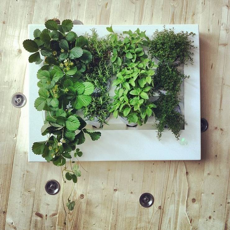 Florama - żywy obraz z roślinnością, profesjonalista: FLORABO2 | homify