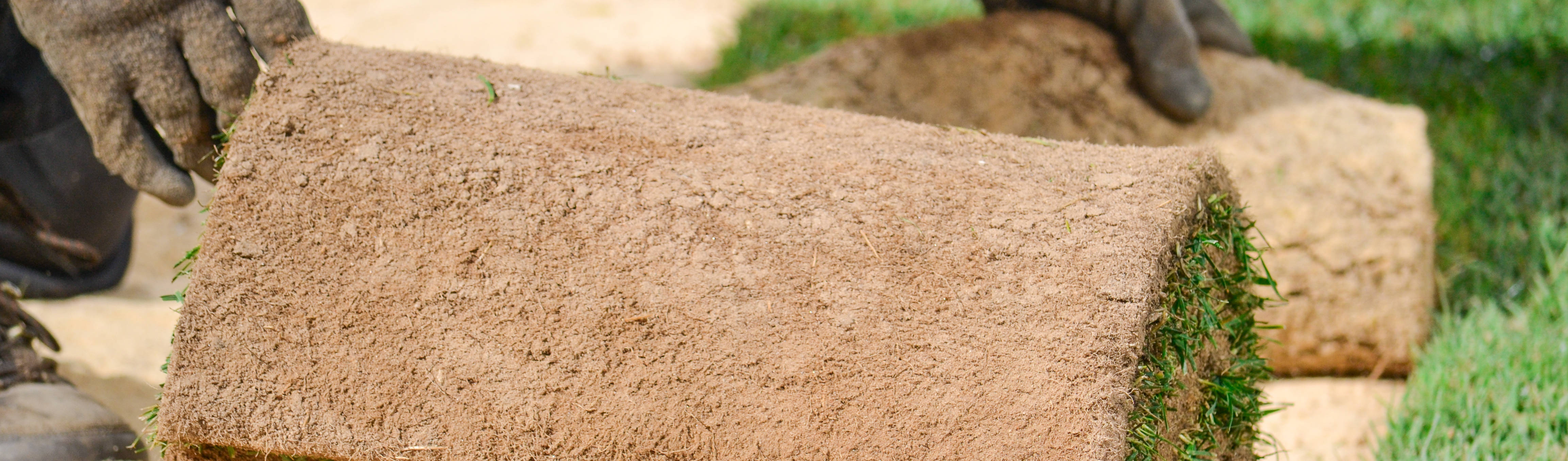 Os nossos tapetes de relva natural em EVENTOS! | homify