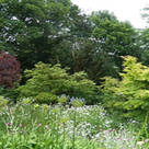 Alex Johnson Landscape Design: Acessórios de jardinagem em Bristol | homify